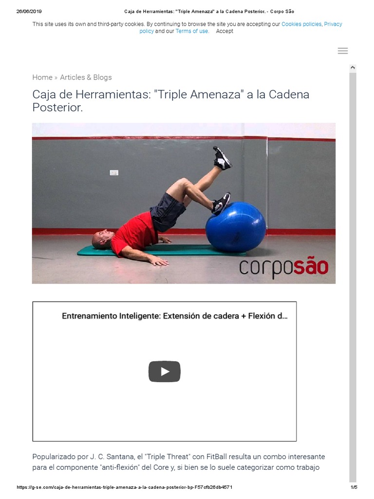 Vladimir Janda-Muscle Funct | PDF | Anatomía del miembro inferior ...