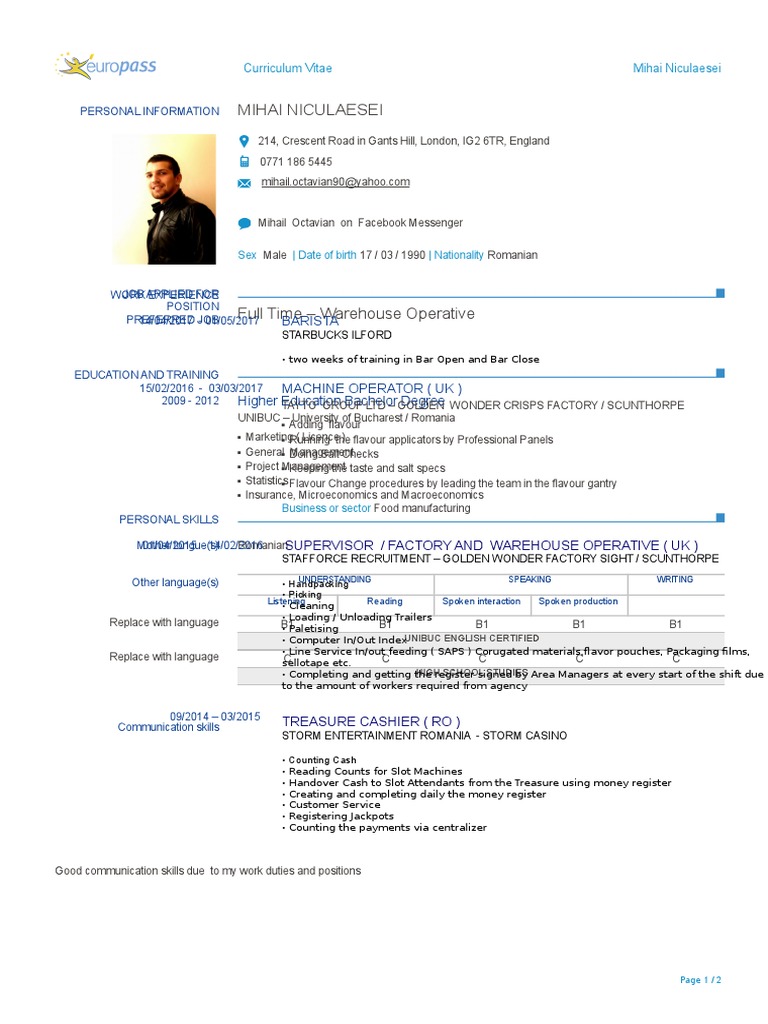 CV Mihai Niculaesei | PDF | Business