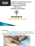 Performing Intermittent Straight Catheterization | PDF | Medical ...