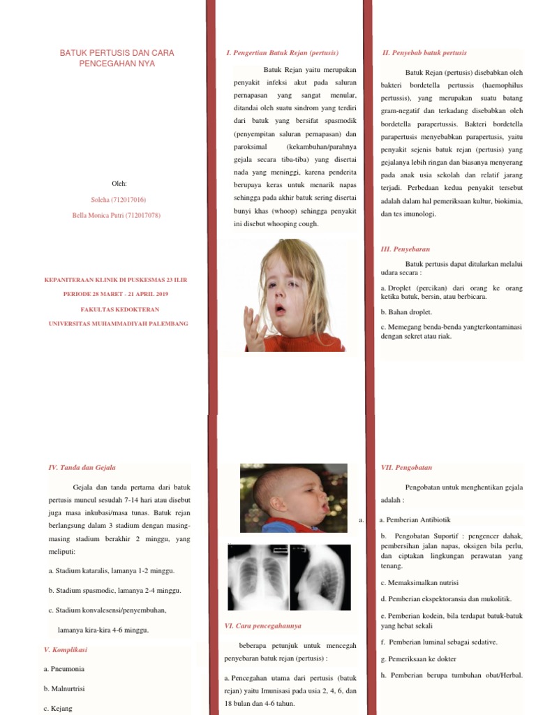 Leaflet Pertusis 1 | PDF