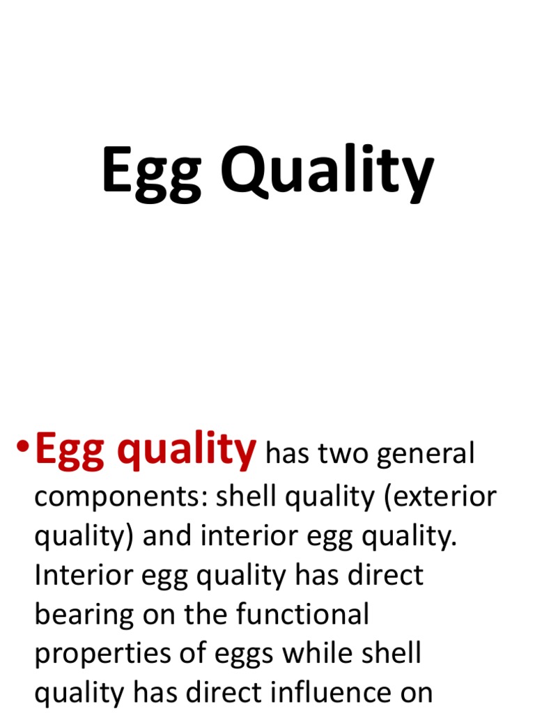Egg Quality | Download Free PDF | Chicken | Egg