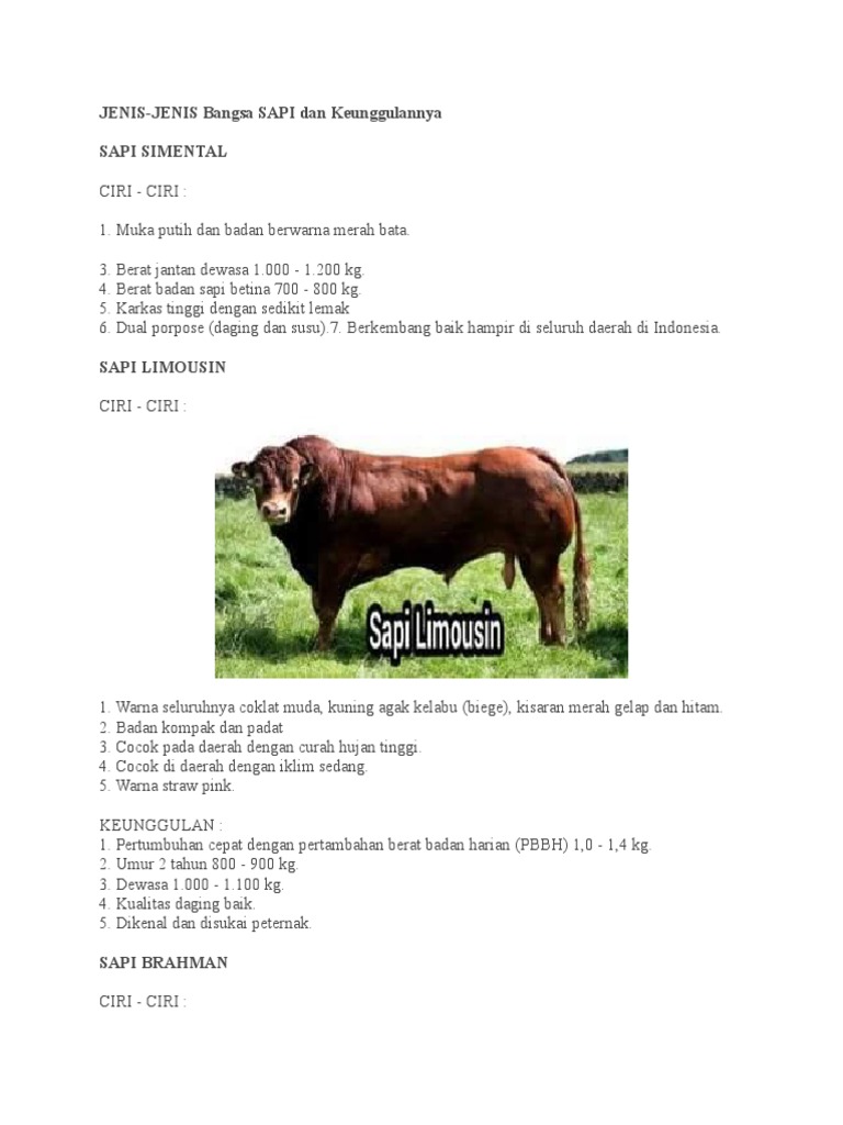 Jenis dan Ciri-Ciri Sapi Terpopuler | PDF | Kesehatan Holistik ...