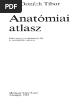 Rendfokozatok | PDF