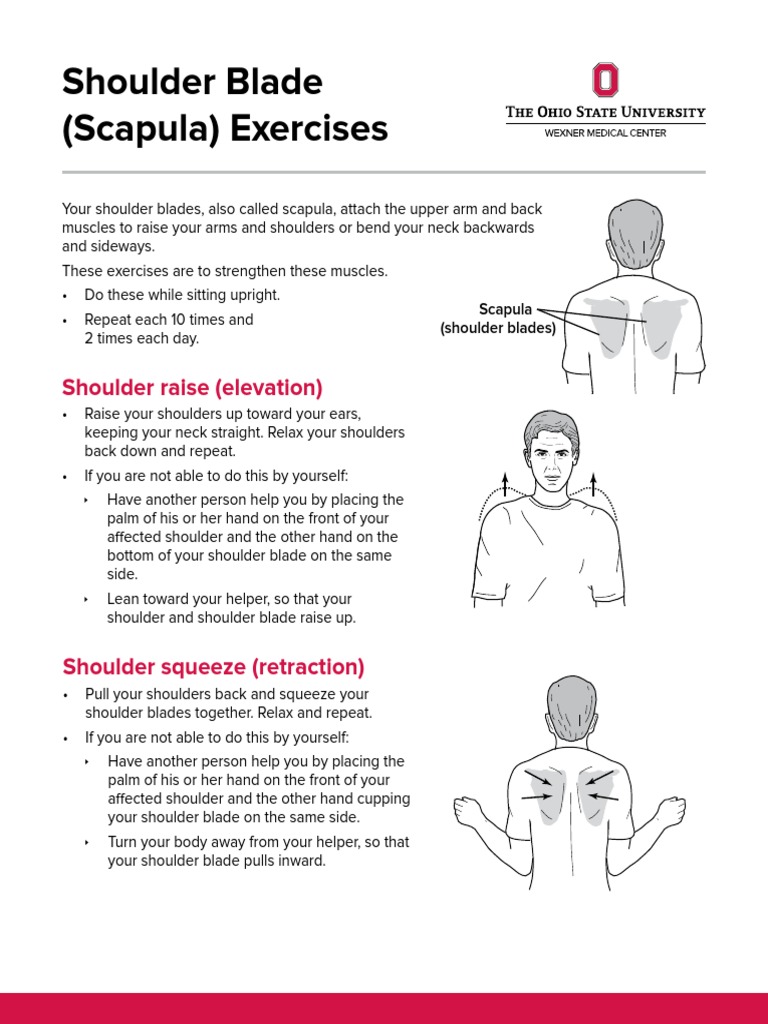 Shoulder Blade (Scapula) Exercises | PDF | Wellness