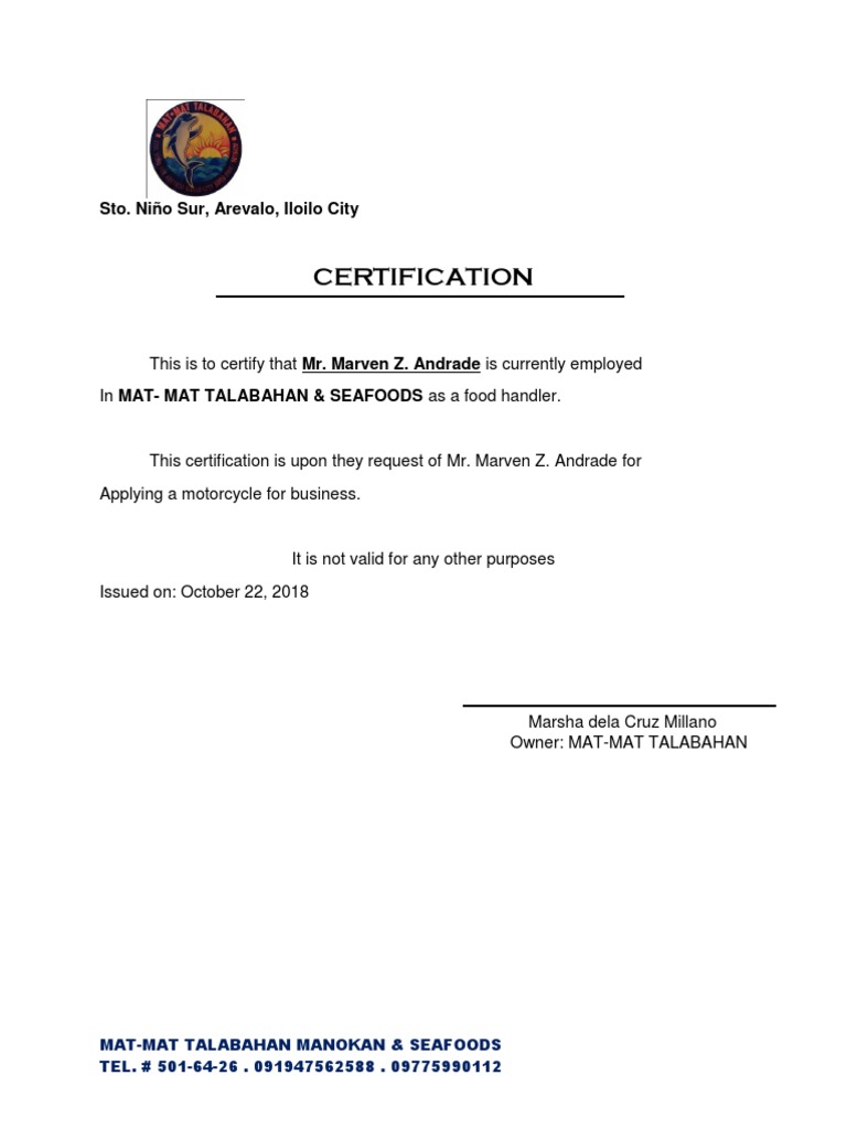 Certification: Sto. Niño Sur, Arevalo, Iloilo City | PDF