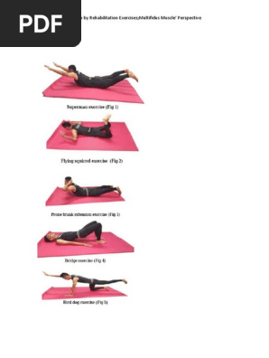 Multifidus Exercises