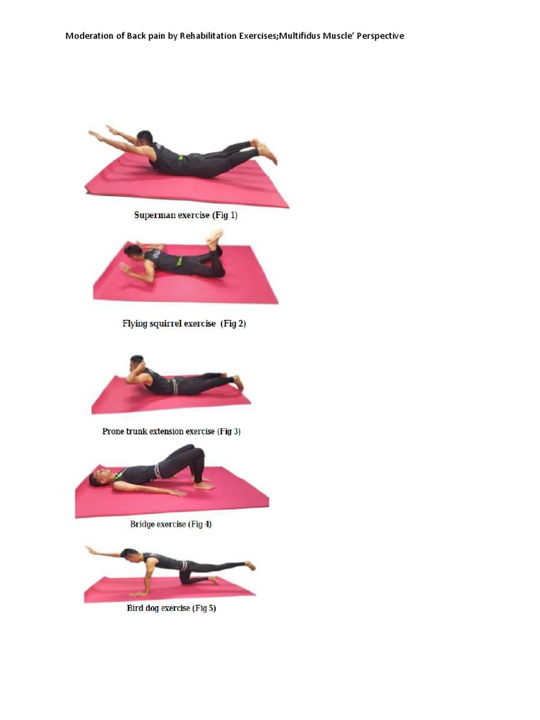 Multifidus Muscle Strengthening Exercises | PDF