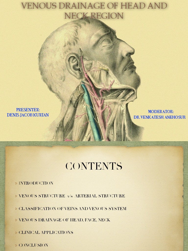 Venous Drainage of Head and Neck | PDF | Vein | Cardiovascular System
