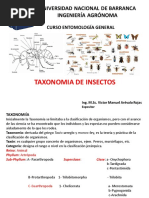 Origen y Evolucion de Los Insectos | PDF | Insectos | Escala de tiempo ...