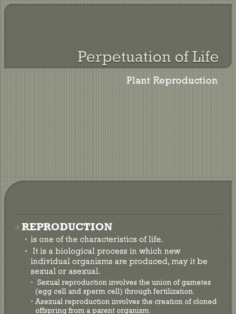 Perpetuation of Life | PDF | Pollination | Flowers