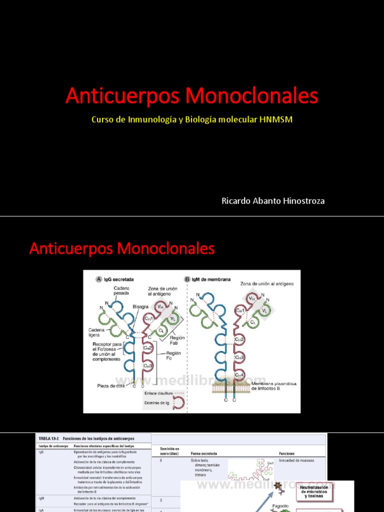 Anticuerpos Monoclonales | PDF | Anticuerpo Monoclonal | Anticuerpo