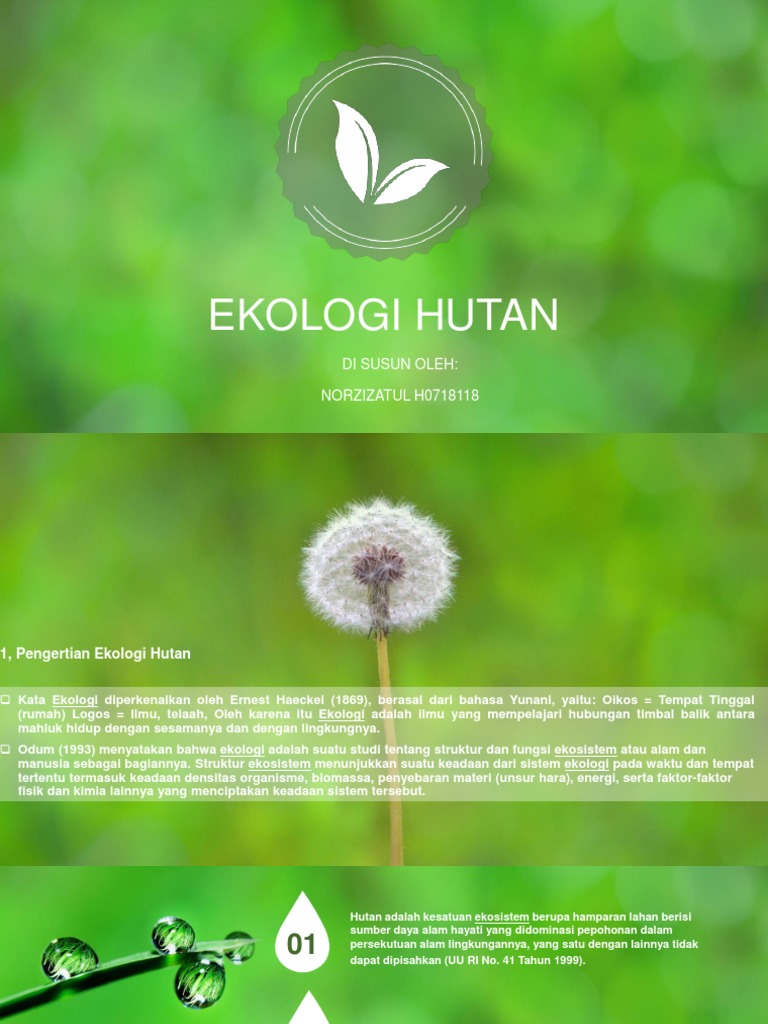 Chika EKOLOGI HUTAN PowerPoint Templates 1 | PDF | Sains & Matematika ...