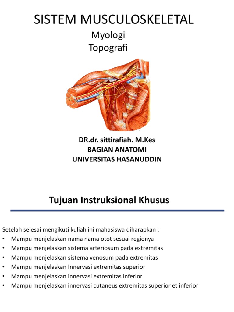 Anatomi Muskulo Osteo Dan Myologi | PDF