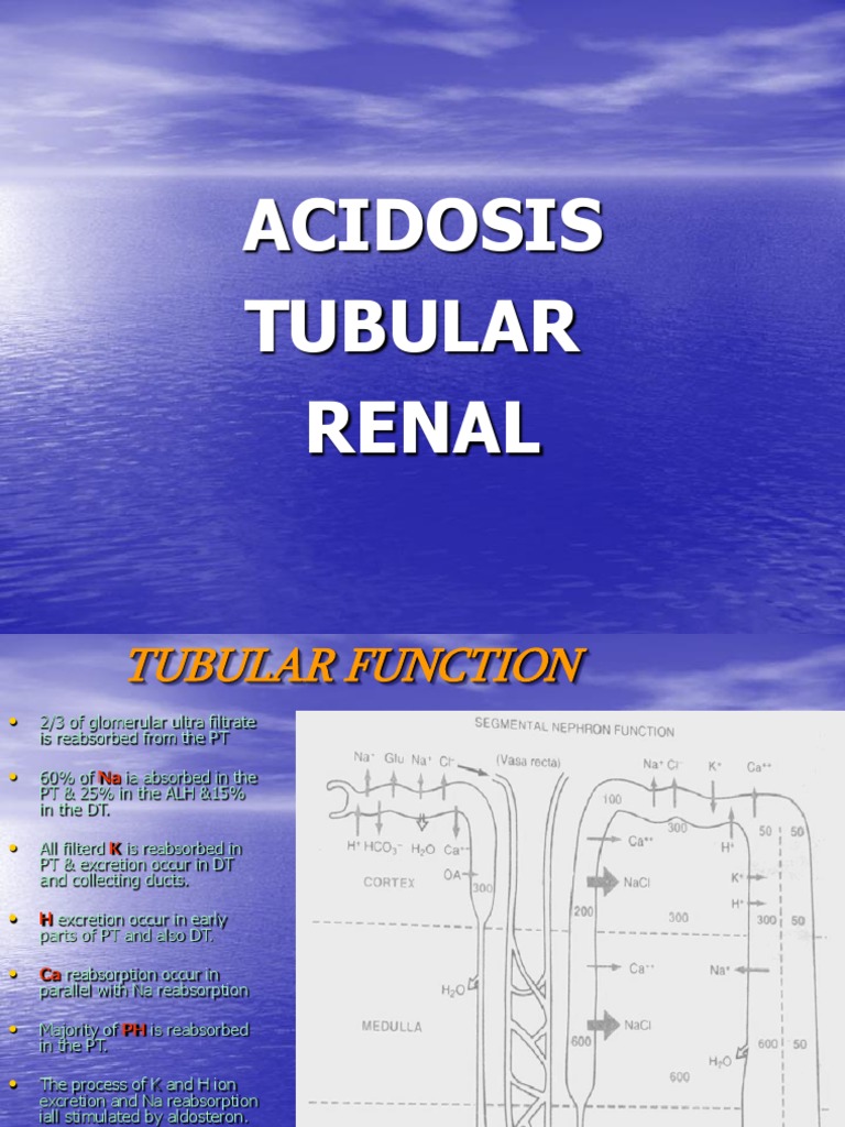 Acidosis Tubular Renal | PDF | Kidney | Medical Specialties