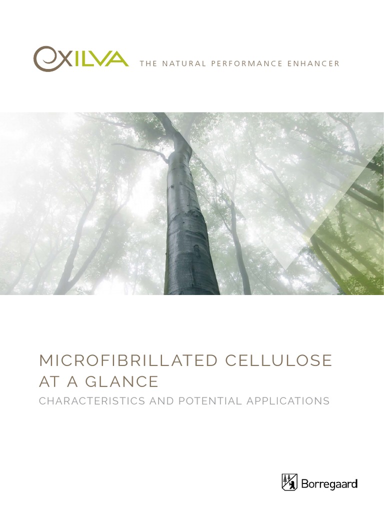 Microfibrillated Cellulose | PDF | Paint | Composite Material