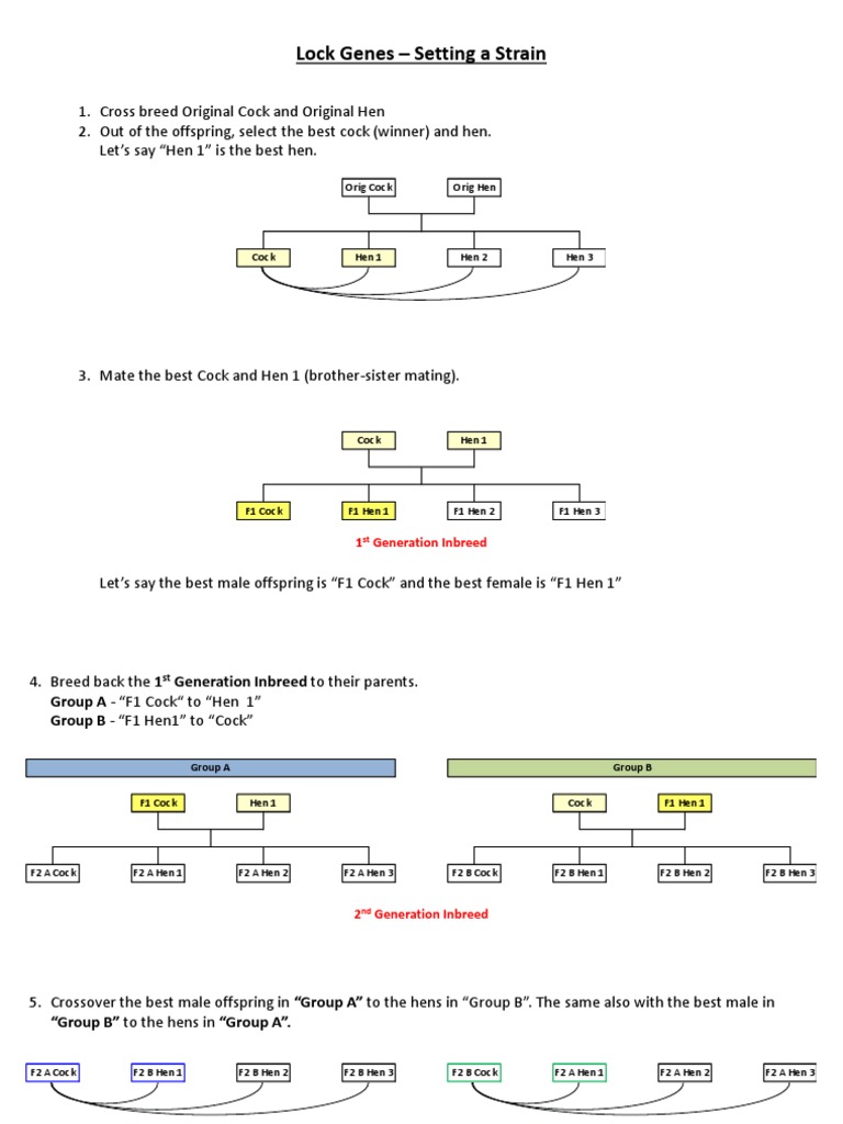 Lock Genes | PDF | Inbreeding | Evolutionary Biology