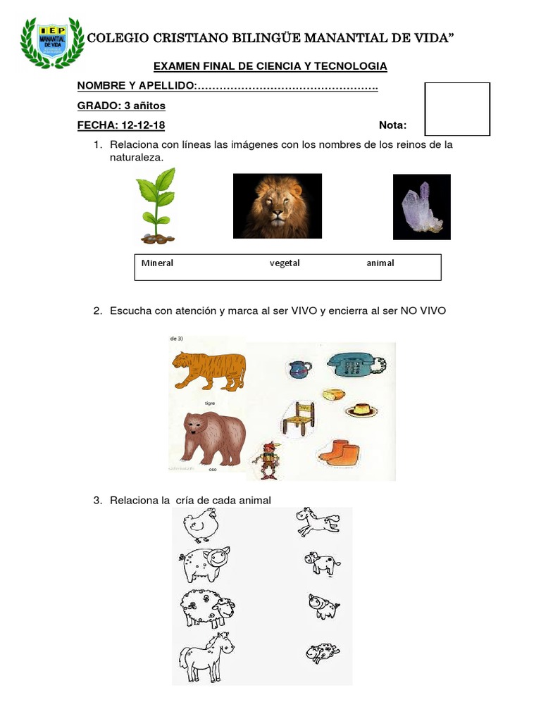 Exámenes de Ciencia y Tecnología Inicial 3-5 años | PDF