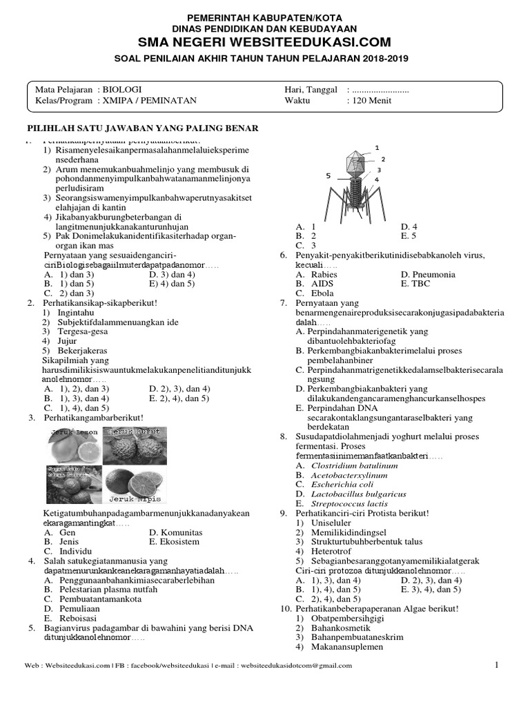 Soal PAT Biologi Kelas X 2018-2019 | PDF