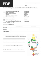 Photosynthesis and Cellular Respiration Cut and Paste | PDF | Cellular ...