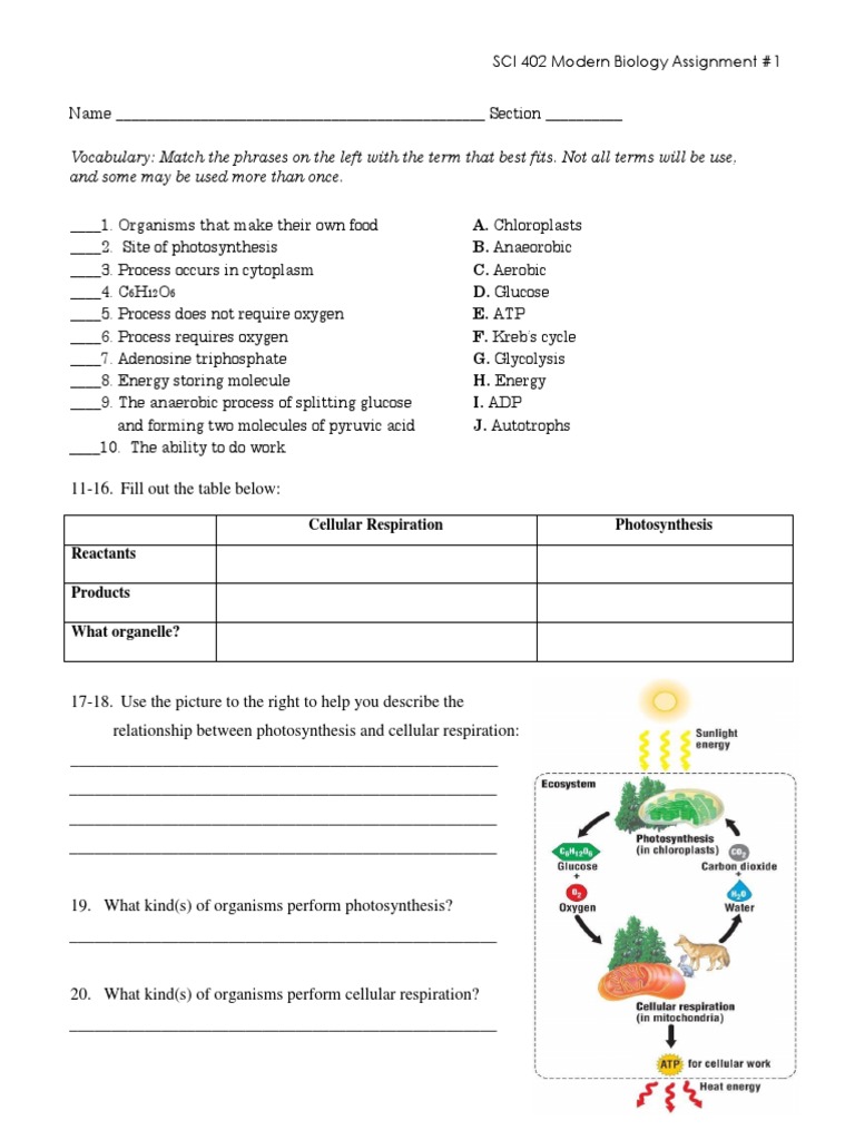 Sci 402 Assignment | PDF
