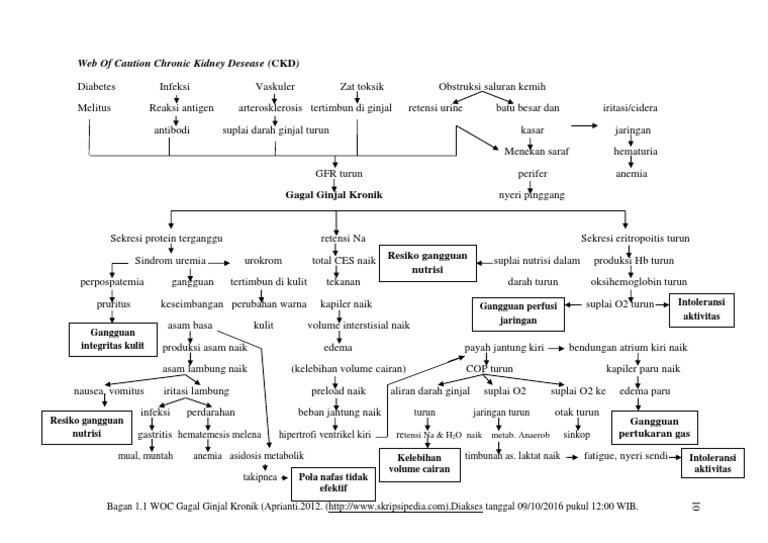 WOC CKD New | PDF | Rtt | Abdomen
