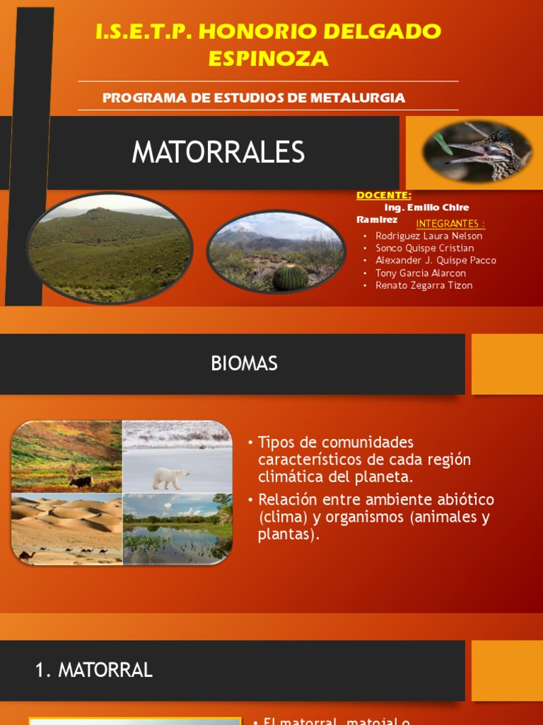 Matorrales | PDF | Horticultura y jardinería | Conservación del medio ...