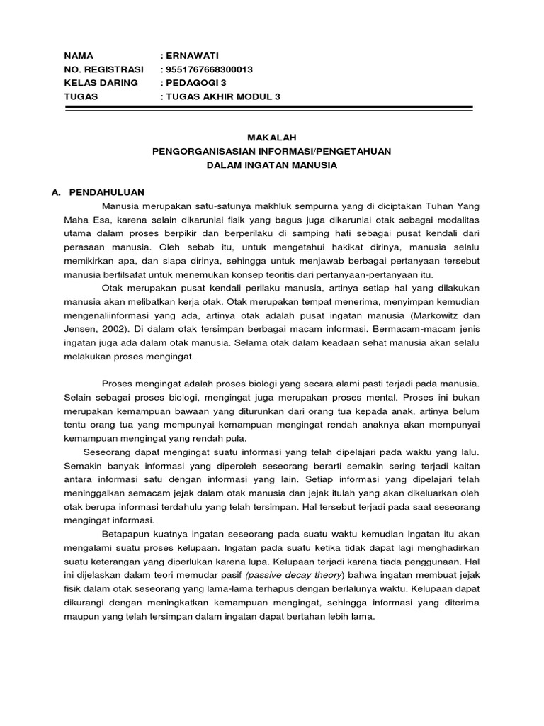 Pengorganisasian Informasi dalam Ingatan | PDF | Sains & Matematika
