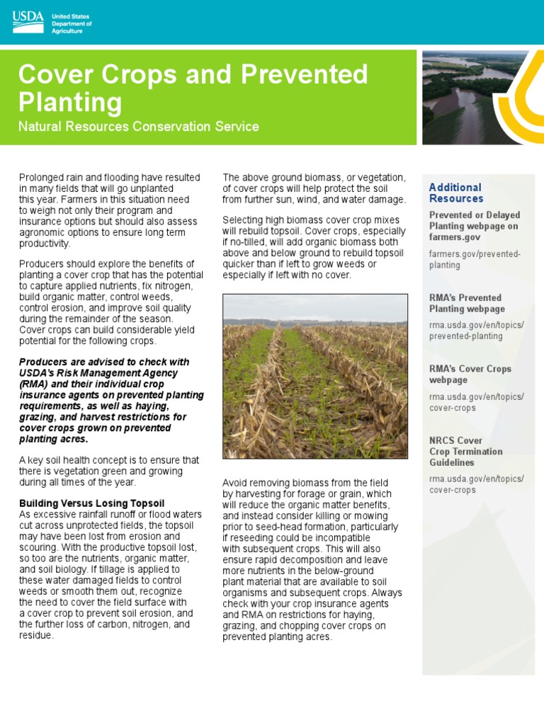 Prevented Planting 2019 National | PDF | Topsoil | Soil