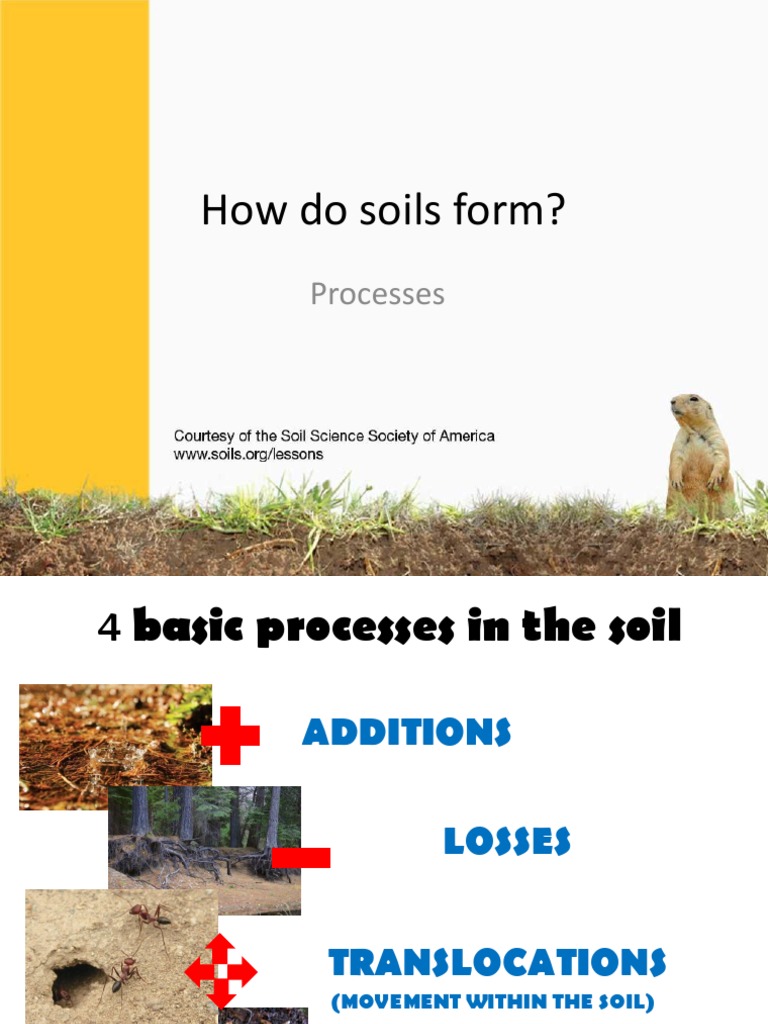 How Do Soils Form?: Processes | PDF