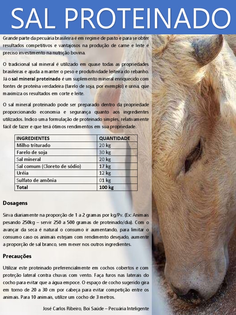Formulando um sal mineral proteinado para melhorar a produtividade do ...