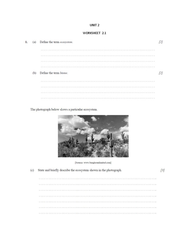 Unit 2 Worksheet 2.1 | PDF