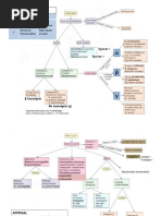 Flow Chart of Gram Negative Organisms | PDF | Gram Negative Bacteria ...