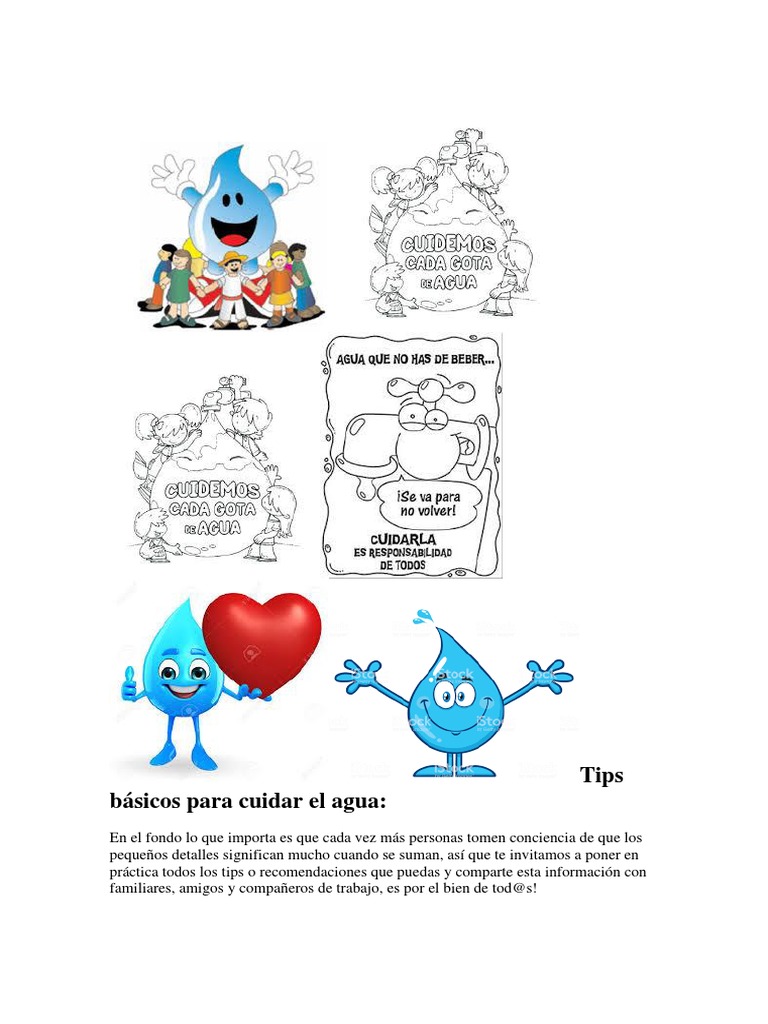 Tips Básicos para Cuidar El Agua | PDF | Baño | Riego