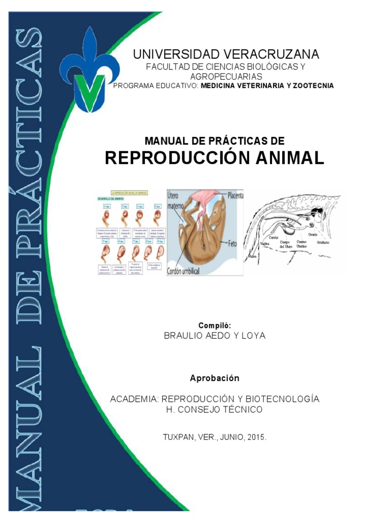 28 Manual de Practicas de Reproduccion Animal PDF | PDF | Útero | El embarazo