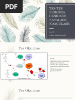Laporan Praktikum UJI KATALASE BAKTERI | PDF