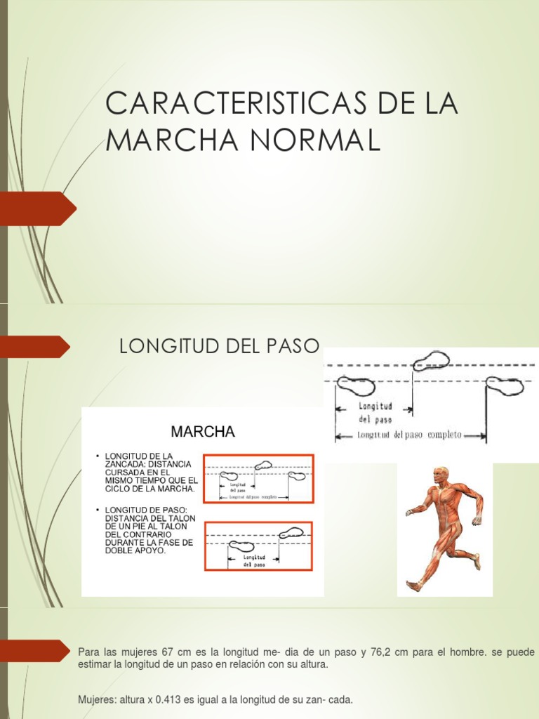 Caracteristicas De La Marcha Normal