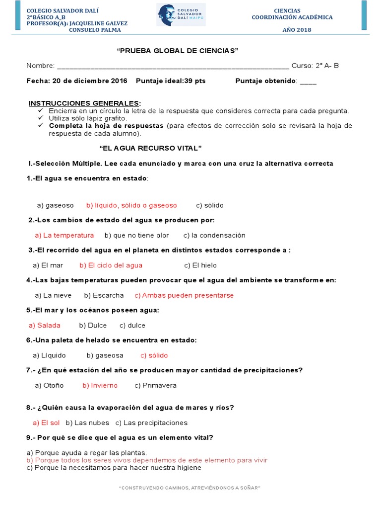 Prueba Global de Ciencias 2° Básico | PDF | Herida | Cuerpo humano