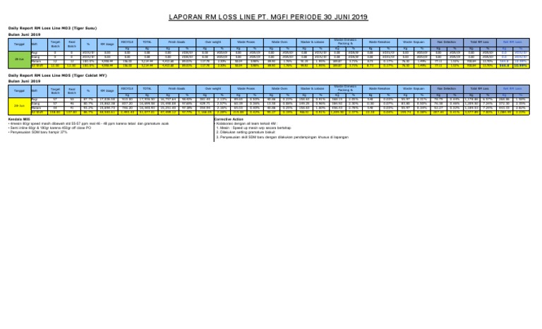 RM Loss Report for Biskuit WRP | PDF