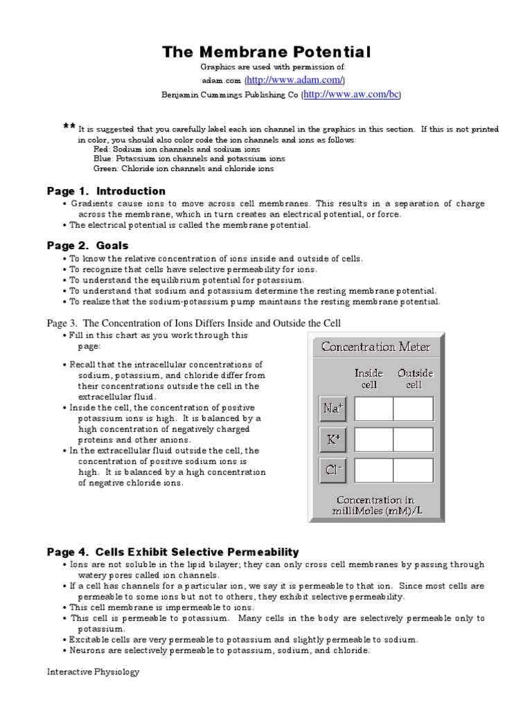 The Membrane Potential: Page 1. Introduction | PDF | Membrane Potential ...