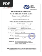 Salt Spray Test Report - Sample | PDF