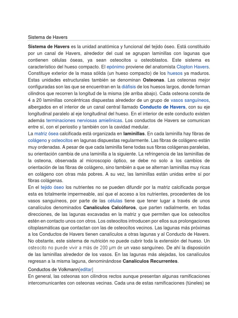 Sistema de Havers Anatomia | PDF | Articulación | Sistema ...