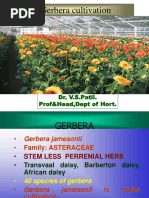 RHS Colour Charts Editions PDF | PDF | Color | Graphic Design