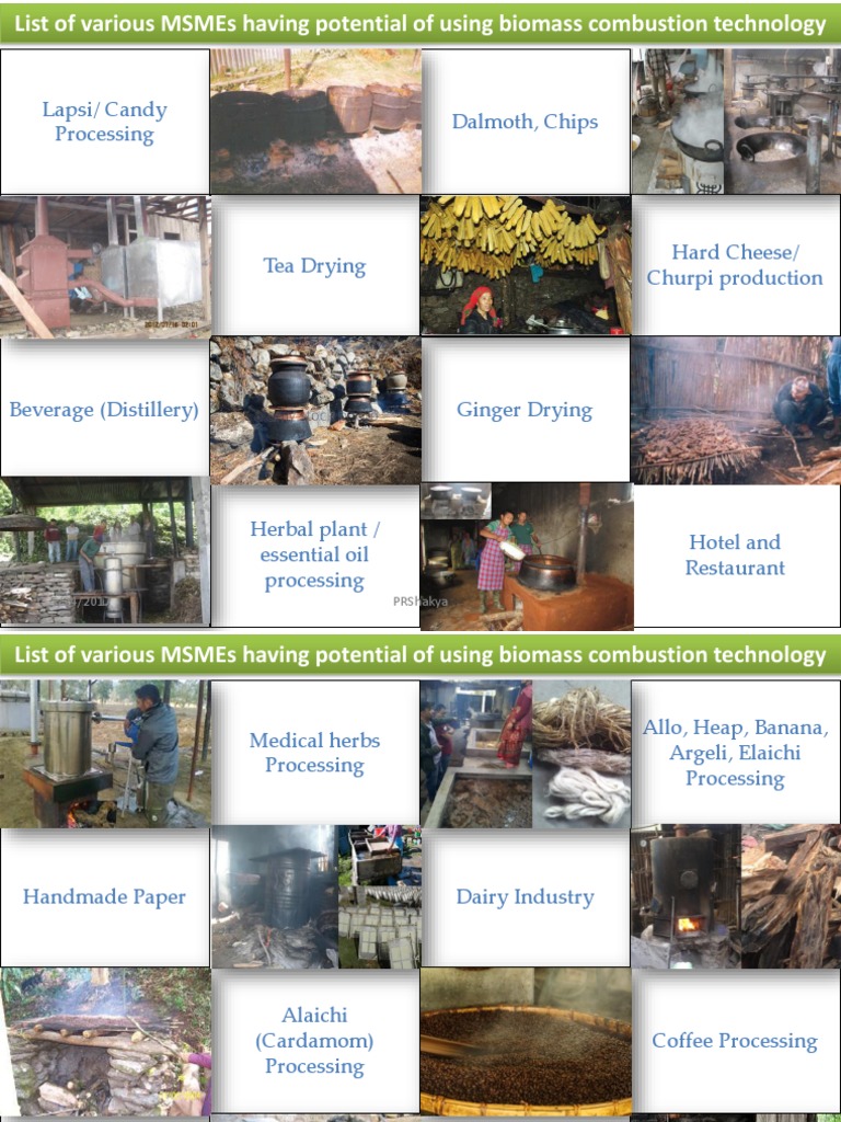 Traditional Biomass Use | PDF