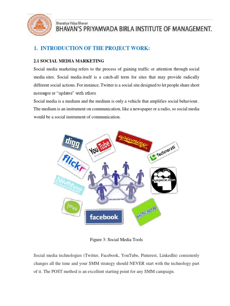 Internship Presentation PPT Format | PDF | Social Media Marketing ...