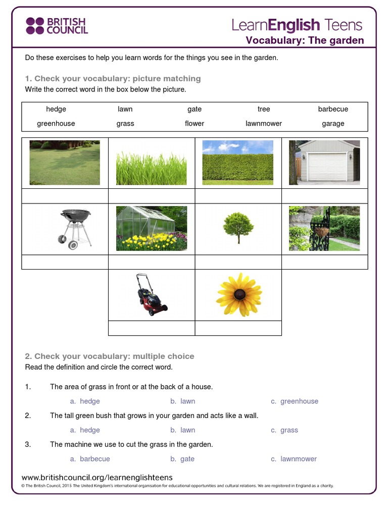 The Garden - Exercises PDF | PDF | Lawn | Gardens