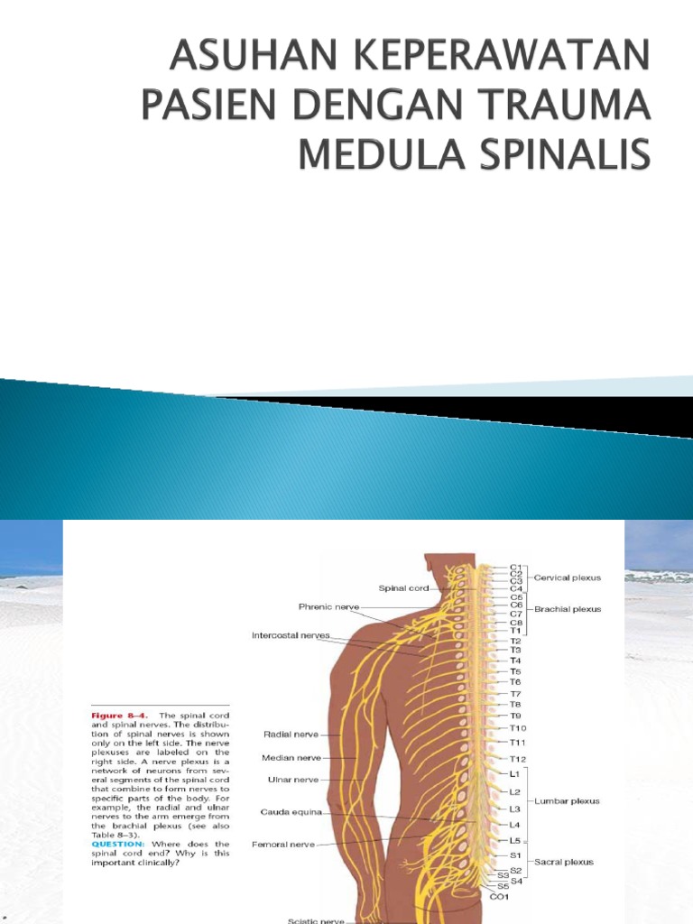 Askep Trauma Medula Spinalis | PDF