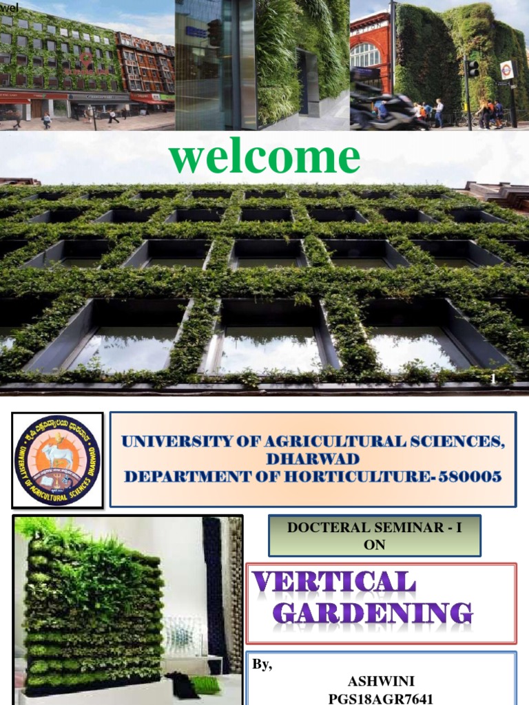 Vertical Garden | PDF | Carbon Dioxide | Organisms