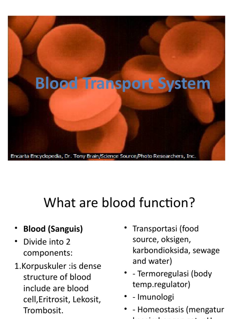 Blood Trans | PDF | Blood | Physiology