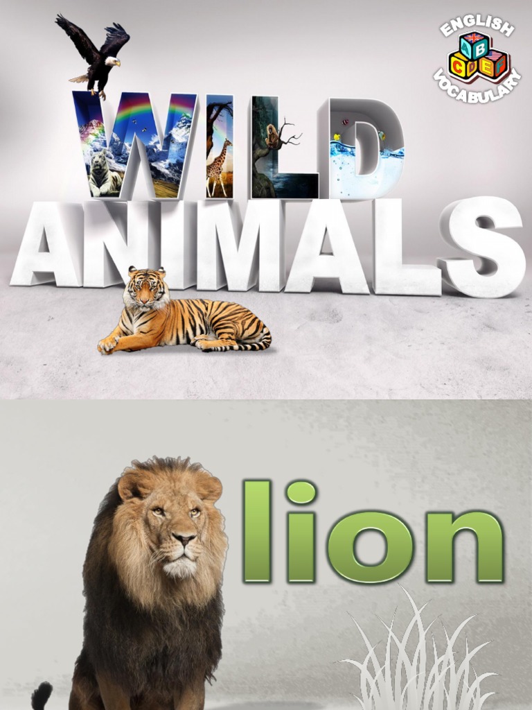 Wild Animals PPT Flashcards | PDF