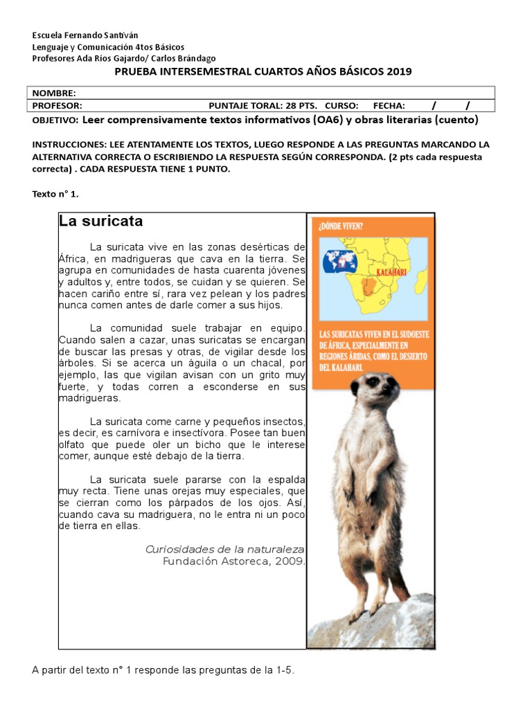 Intersemestral Lenguaje Cuarto 2019 | PDF | Suricata | Extinción